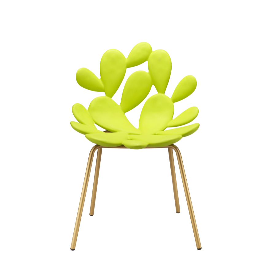 Filicudi chair set of 2 pieces by Qeeboo on Luxxdesign.com